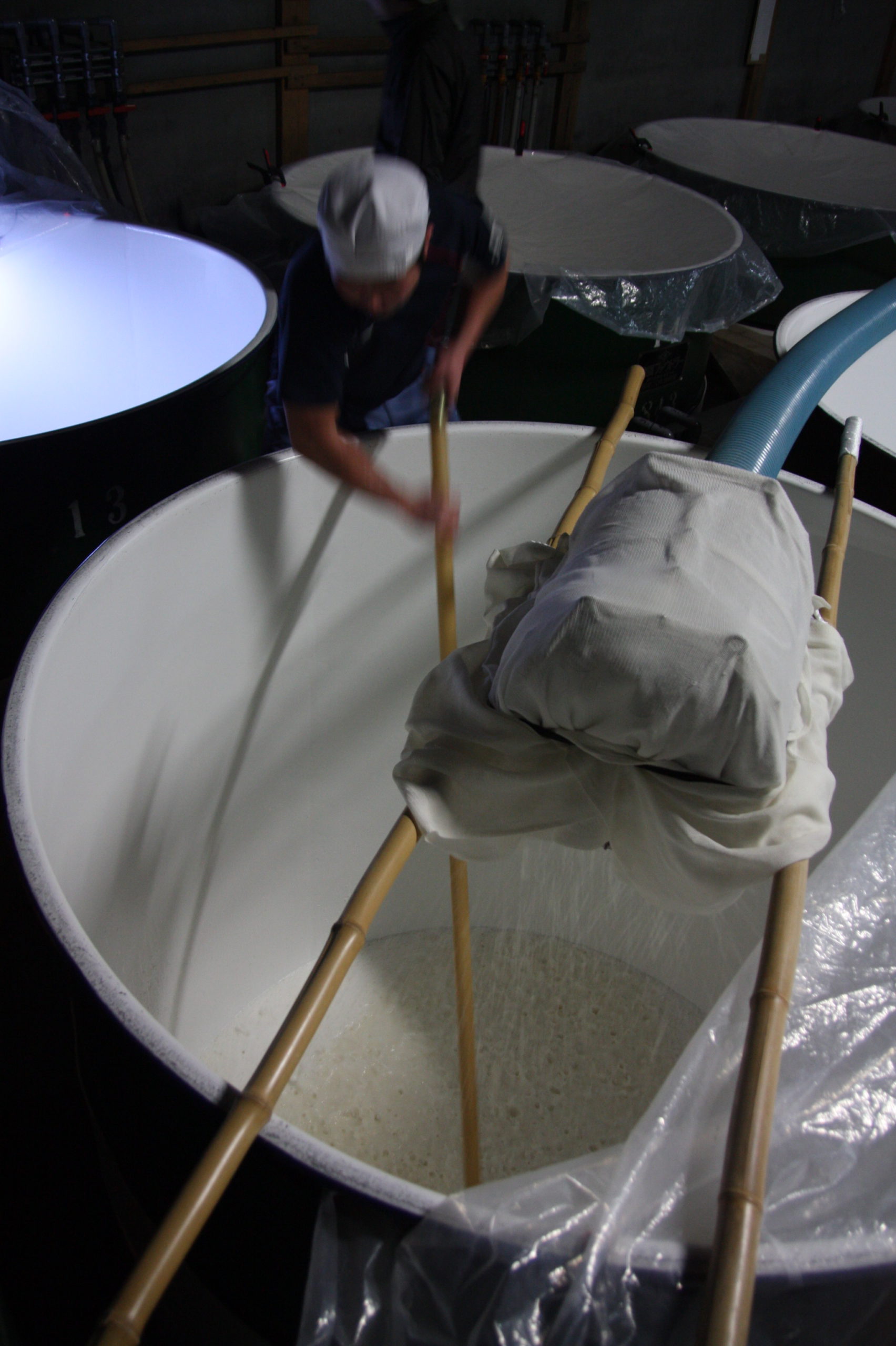 Sake Production Process - Sake Experince Japan